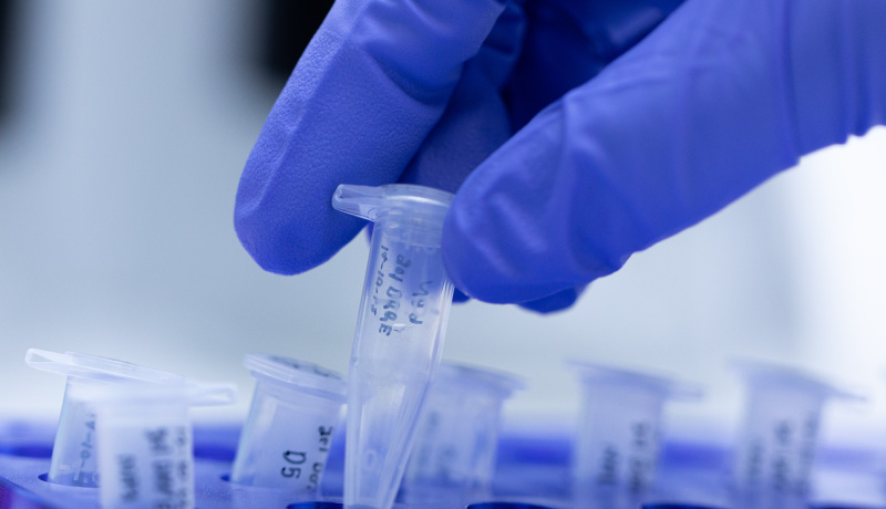 DDS-800-460-2 | LIVNUS Hi-tech Skin Care